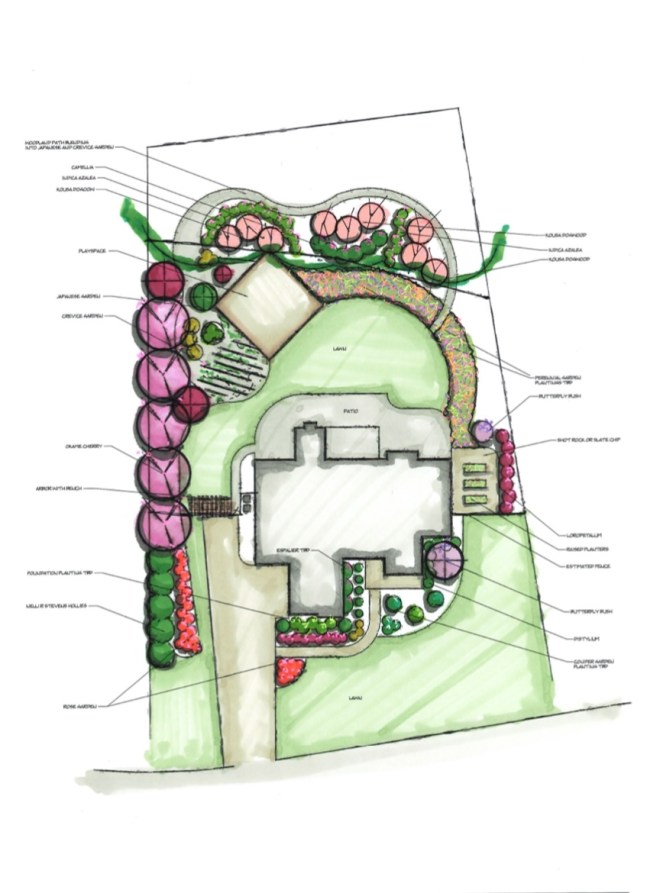 The dingo hits the soil (clay)! – AndAllenGarden